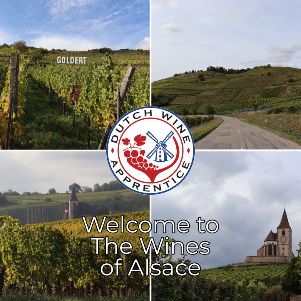 Welcome to The Wines of Alsace - Dutch Wine Apprentice