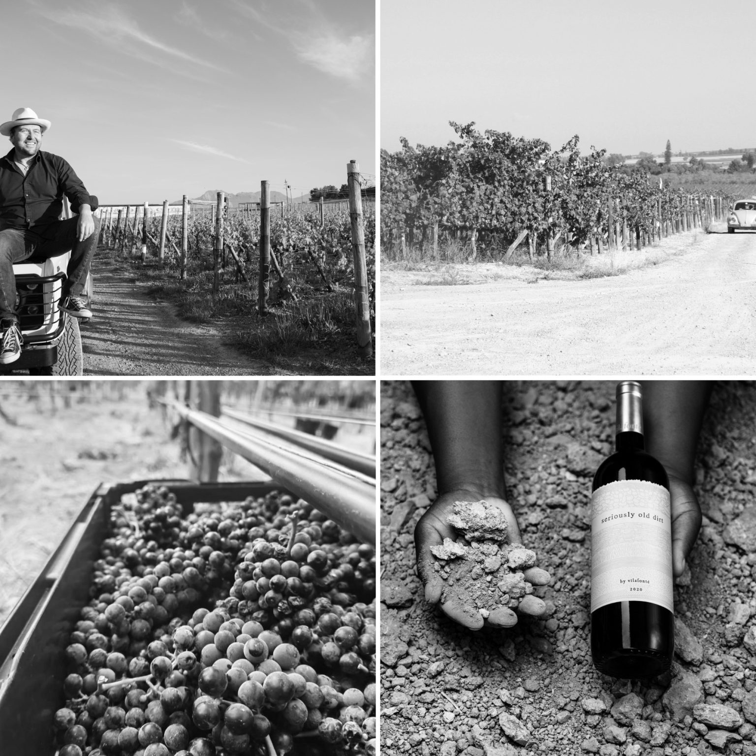 Vilafonté: A Standard Bearer of South African Wine Excellence - Dutch ...