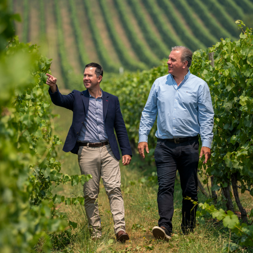Ponting Wines: An Australian Cricket Legend Crafting Premium Wines ...