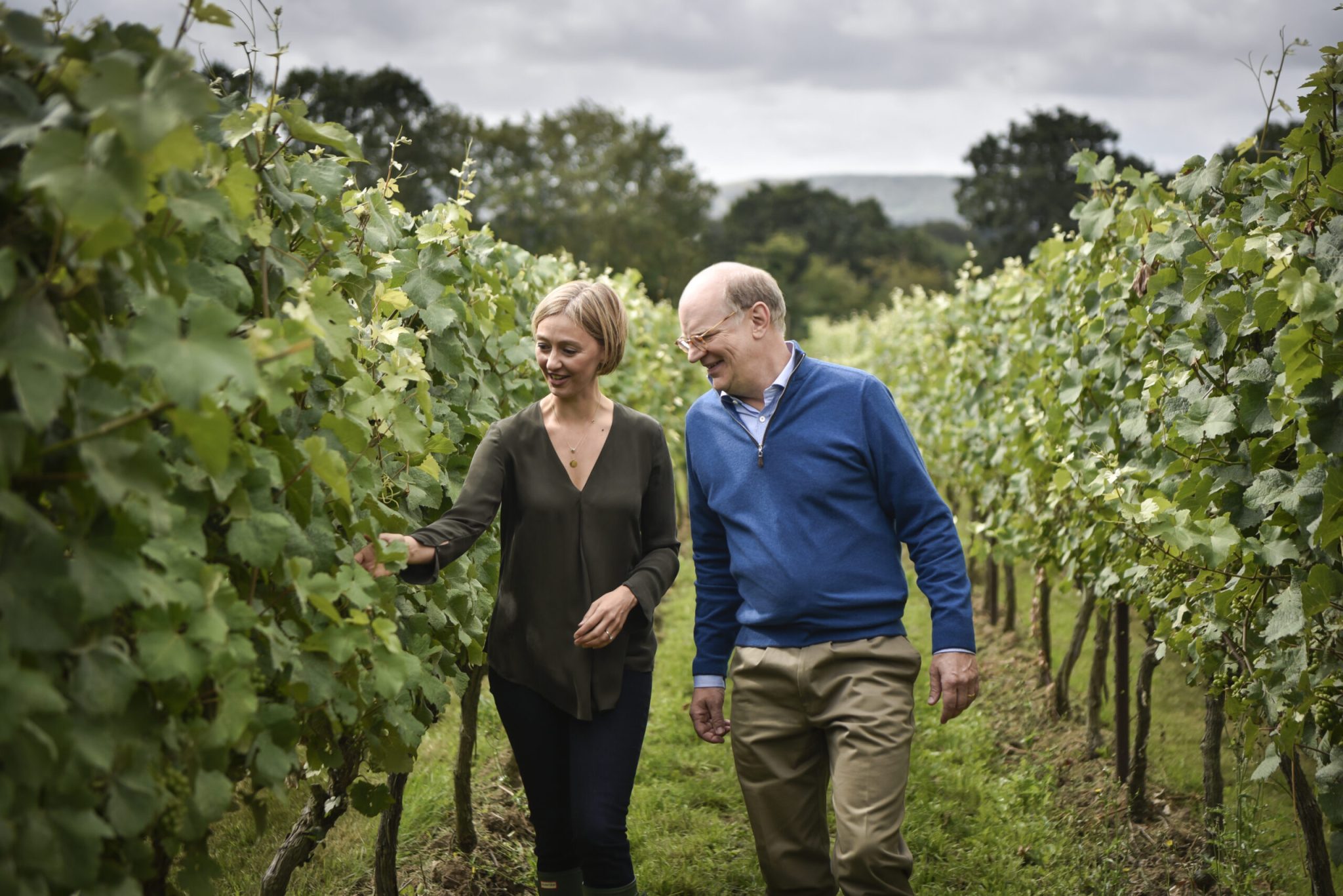 From Doomsday to 1086: The Prestige Evolution of Nyetimber - Dutch Wine Apprentice