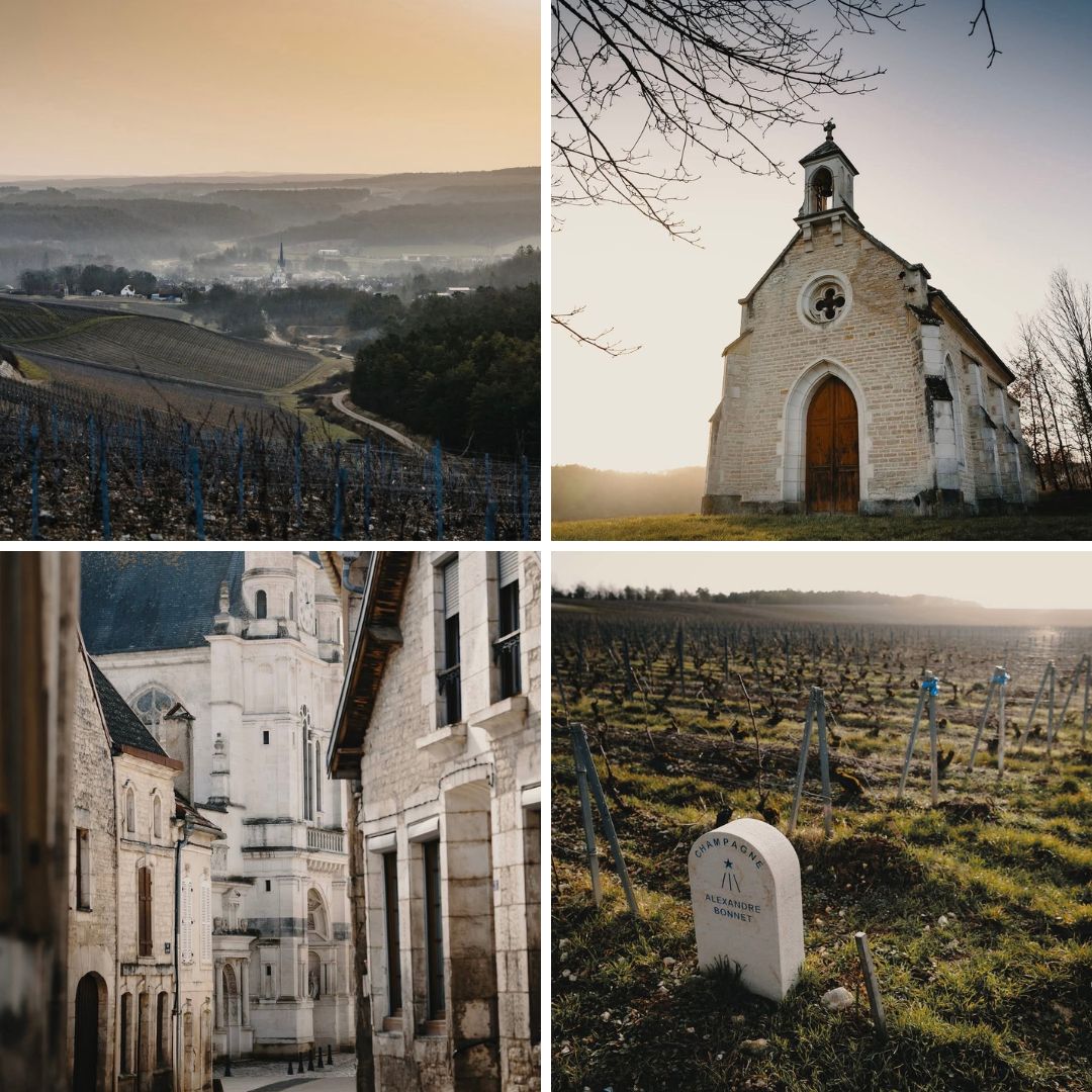 Champagne’s Les Riceys, by Domaine Alexandre Bonnet - Dutch Wine Apprentice