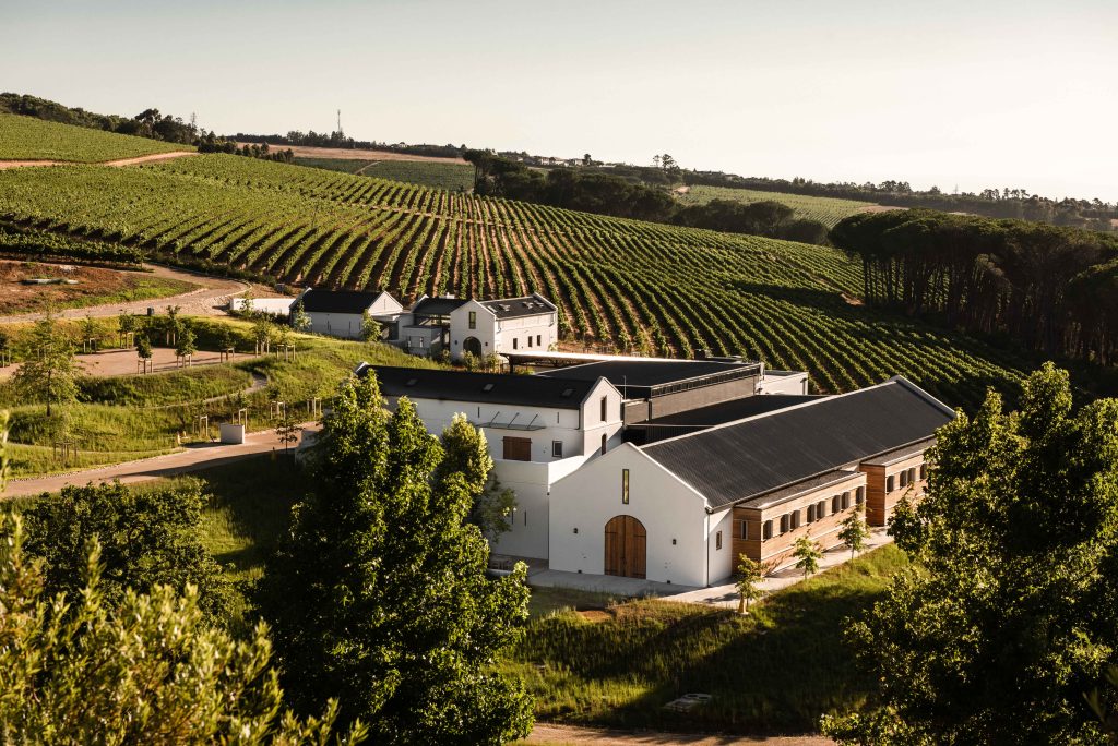 Taaibosch and Cabernet Franc: A Helderberg Renaissance - Dutch Wine ...