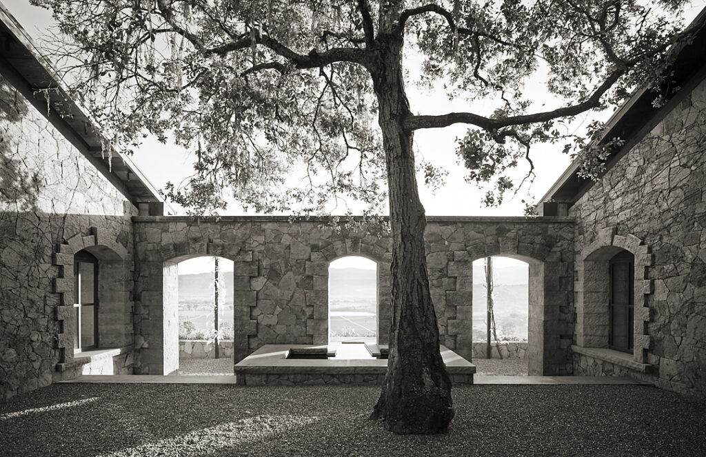 Harlan Estate: Built for Generations - Dutch Wine Apprentice